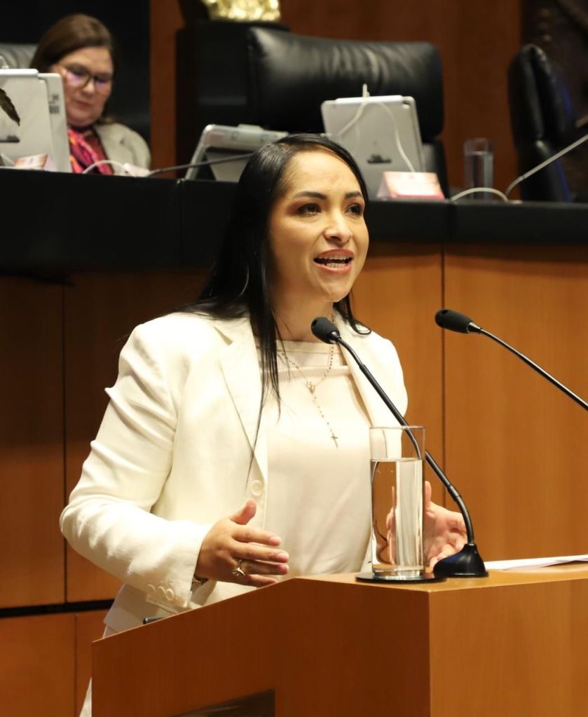 Incluir la palabra ‘Presidenta’ en la Constitución, un acto de justicia ...